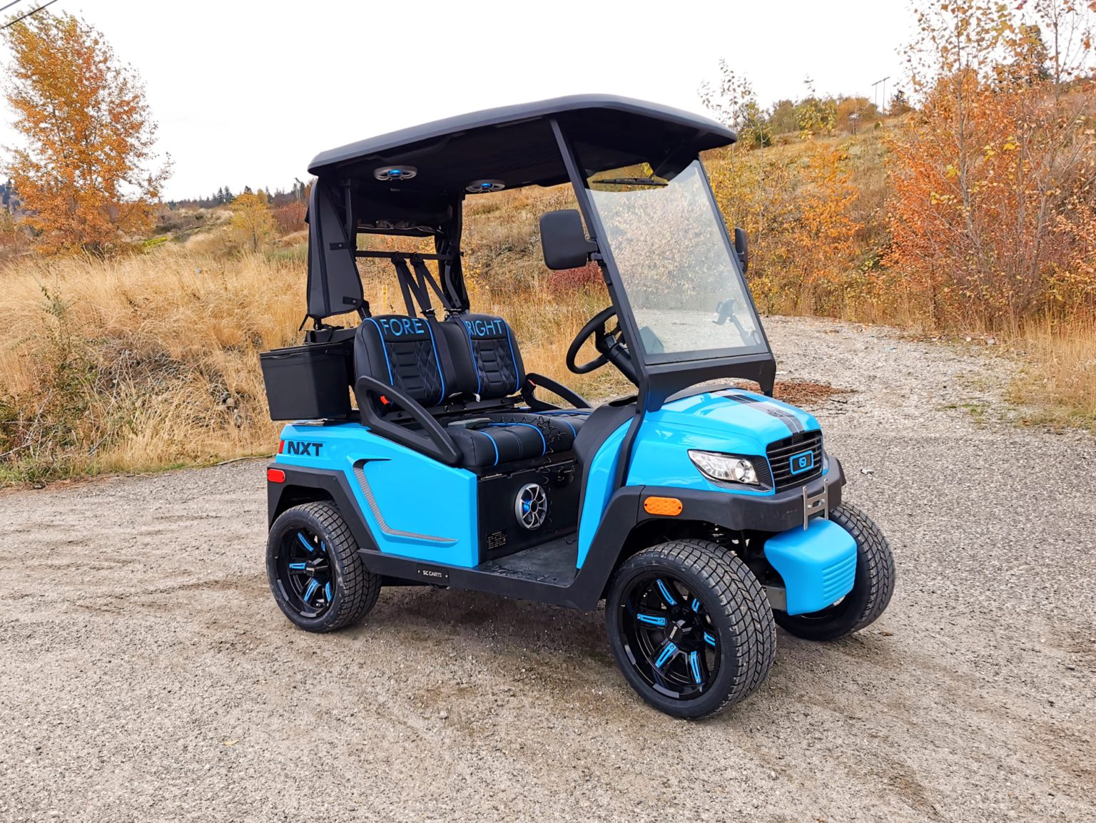eCartsOntario – The exclusive dealer of SC carts LSVs in Ontario